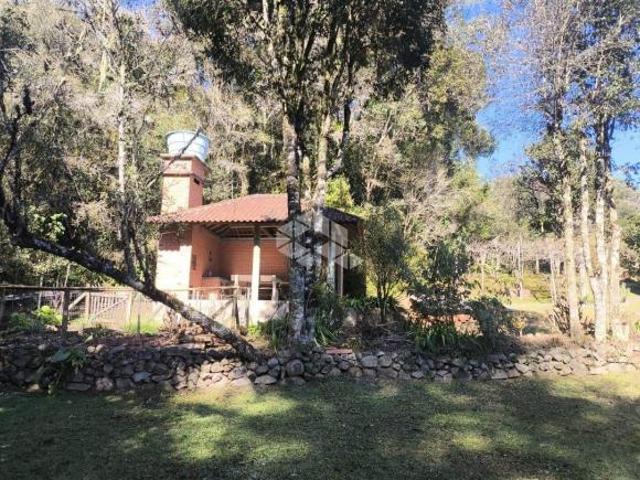 Sitio com 2.778m² na Zona Rural de Canela