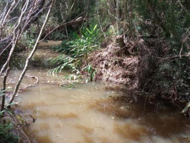 Sítio com 2. Alqueires passa um pouco. bairro do gramadinho município de são Miguel arcanjo