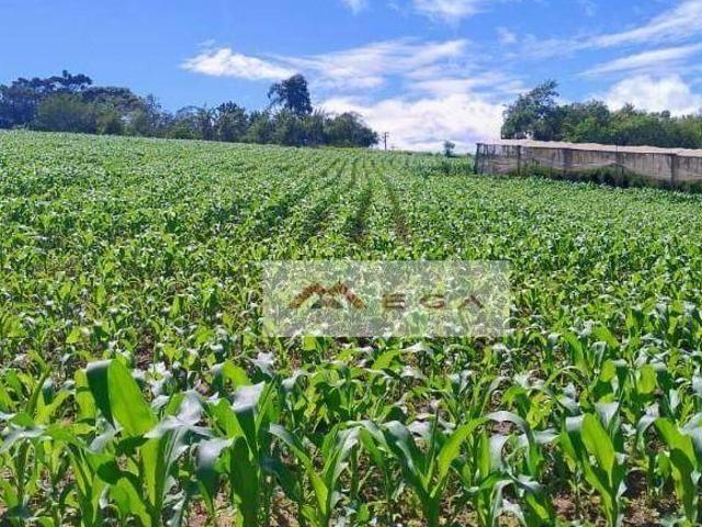 Sítio com 2 casas à venda, 40000 m² por R$ 750.000 Guararema São Miguel Arcanjo/SP