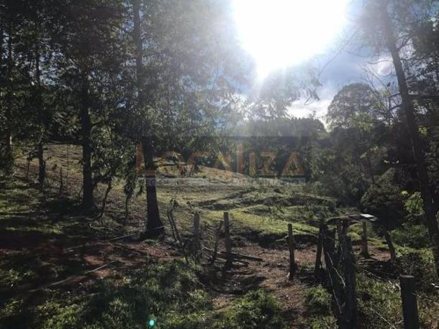 Sítio com 2 dormitórios à venda, 180000 m² por R$ 1.385.000,00 Centro Cunha/SP