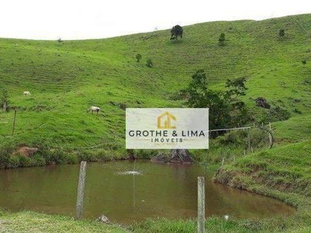 Sítio com 2 dormitórios à venda, 133100 m² por R$ 1.320.000,00 Santo Agostinho de Baixo São José
