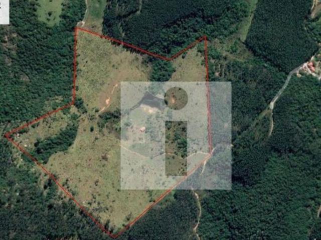 Sítio com 2 dormitórios à venda, 240000 m² por R$ 2.500.000,00 Dos Silvas Morungaba/SP