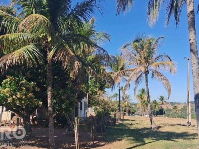 Sítio com 2 dormitórios à venda, 278300 m² por R$ 2.460.000 Área Rural de Guaimbê Guaimbê/SP