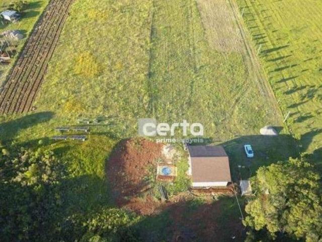 Sítio com 2 dormitórios à venda, 30000 m² São João Canela/RS