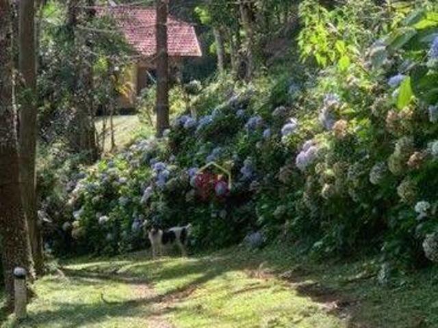 Sítio com 2 dormitórios à venda, 42000 m² por R$ 1.350.000,00 Zona Rural Santo Antônio do Pinhal