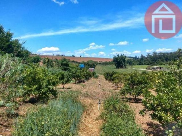 Sítio com 2 dormitórios à venda, 70000 m² por R$ 2.200.000,00 Campo Novo Bragança Paulista/SP