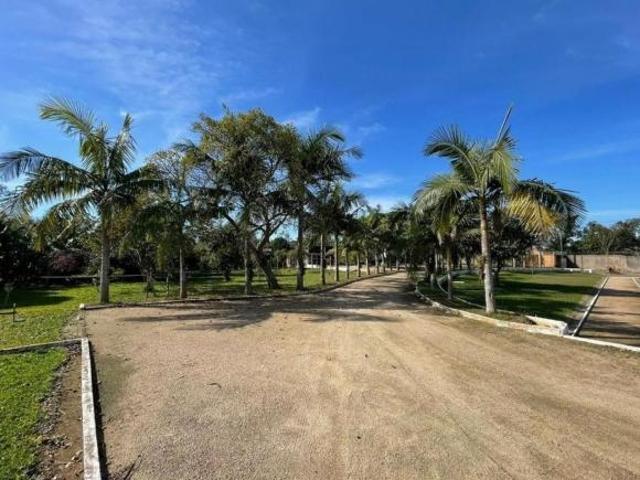 Sítio com 2 hectares no Bairro Lami