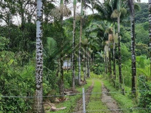 Sitio com 314.000,00m² a venda em Itanhaem litoral de SP