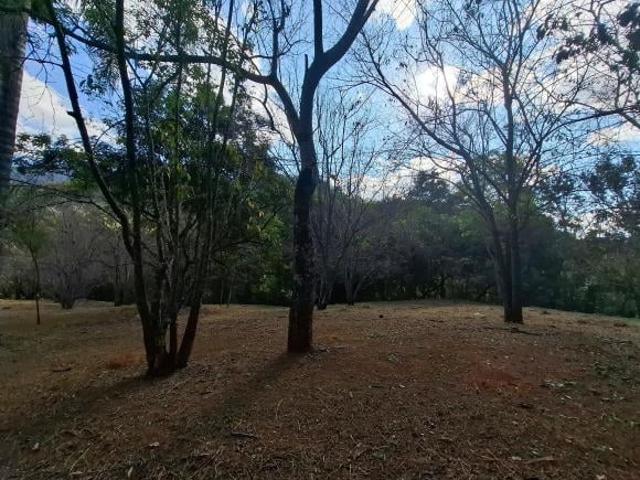 Sitio com 36.600m2 e belíssima cachoeira a 100km de São Paulo