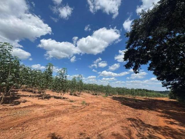 Sítio com 7,5 alqueires em Artur Nogueira SP