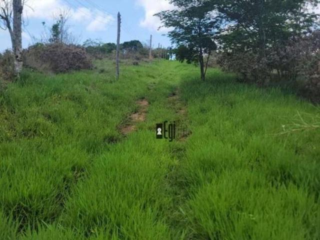 Sítio com 7 dormitórios à venda, 147000 m² por R$ 849.000,00 Piau Piau/MG