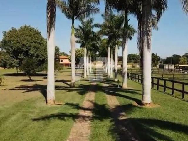 Sítio com 7 dormitórios à venda, 24000 m² por R$ 8.000.000,00 Condominio Santa Filomena Salto/SP