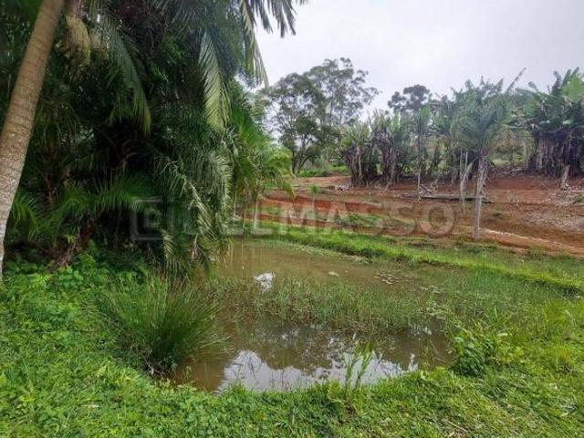 Sítio com 40.000 m² rico em água!