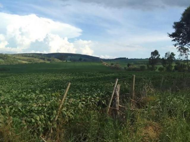 Sítio com 40 alqueires em são Miguel arcanjo terra das uvas sem benfeitorias com córrego no fu