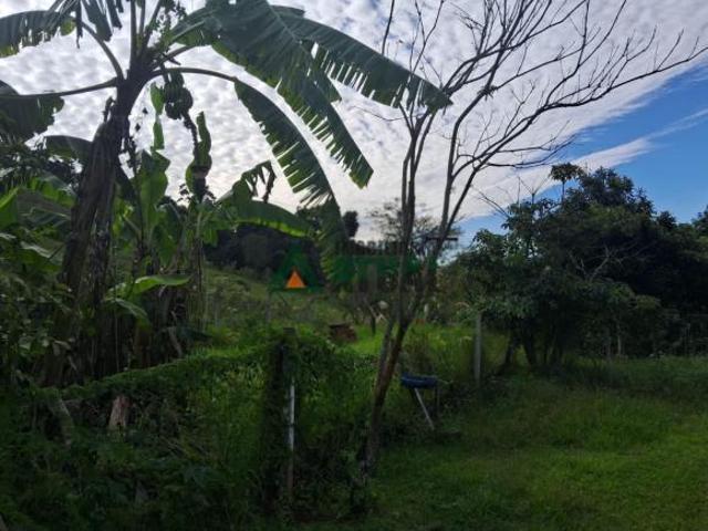 SÍTIO COM 43.000m² A VENDA PRÓXIMO A LONDRINA