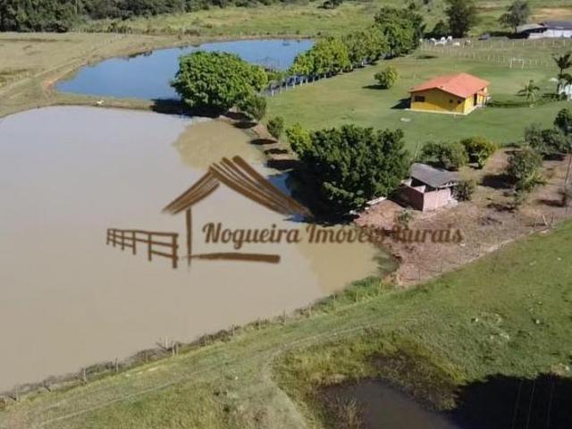 Sítio com 4,5 alqueires em Cesário Lange SP, com belas represas