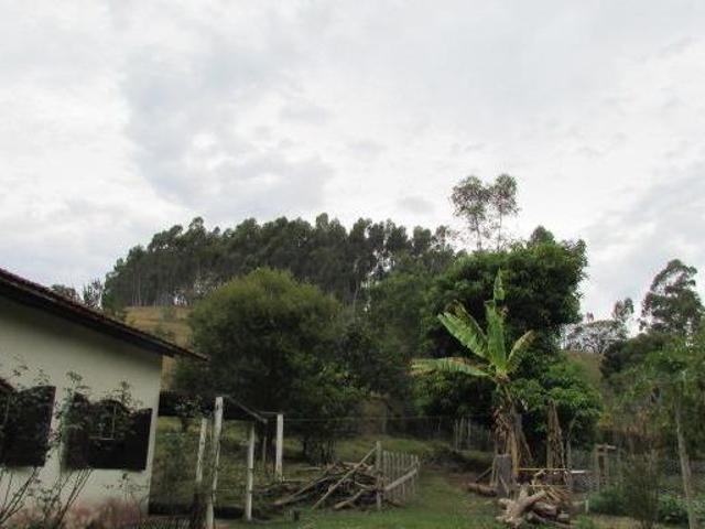 SÍTIO COM 4 ALQUEIRES NO CAPIVARI JAMBEIRO