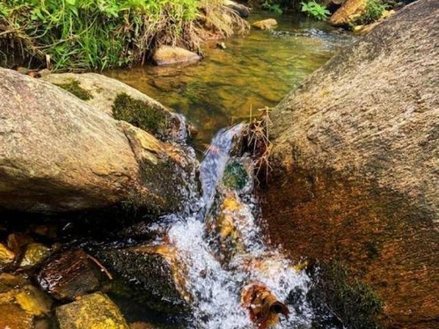 Sítio com 4 dormitórios à venda, 6000 m² por R$ 590.000,00 Zona Rural Santo Antônio do Pinhal/SP