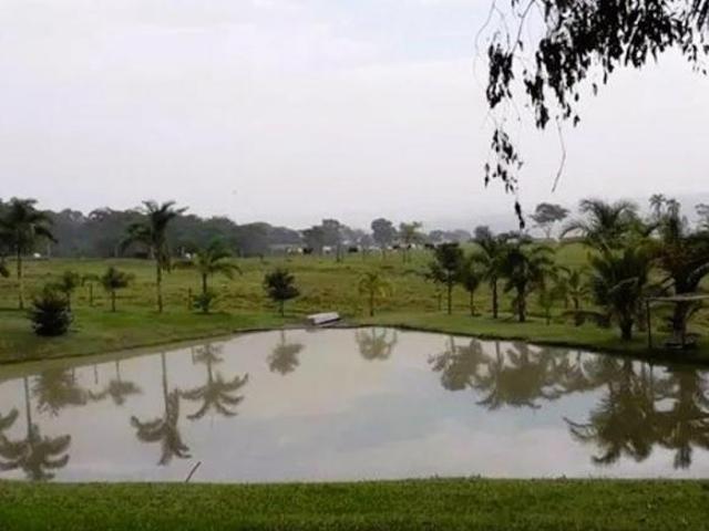 Sítio com 4 dormitórios à venda, 80000 m² por R$ 2.000.000,00 Artemis Piracicaba/SP