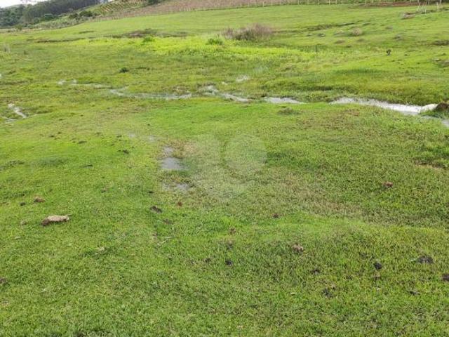 Sítio com 4 quartos à venda em Centro MG