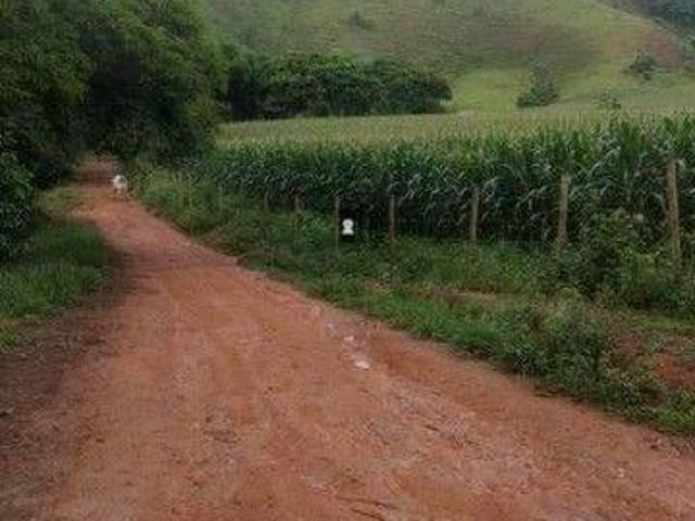Sítio com 5 dormitórios à venda, 10000 m² por R$ 400.000,00 Rio Pomba Rio Pomba/MG
