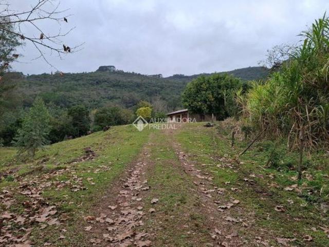 Sítio com 5 hectares em Riozinho/RS
