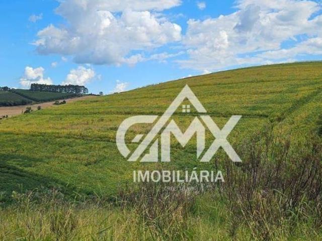 Sítio com 6 alqueires ou 14,1475 hectares à venda, por R$ 1.000.000 Zona Rural Tamarana/PR
