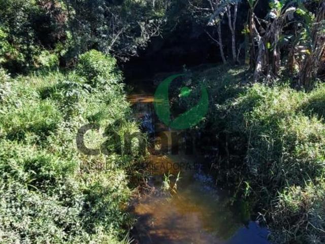 Sítio com 6 alqueires para venda com 2 casas 1 uma muito boa, rio na estrada do Ariri Cananéia