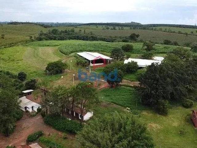 Sítio com 6 dormitórios à venda, 13 alqueires por R$ 3.000.000 Zona Rural Itatinga/SP