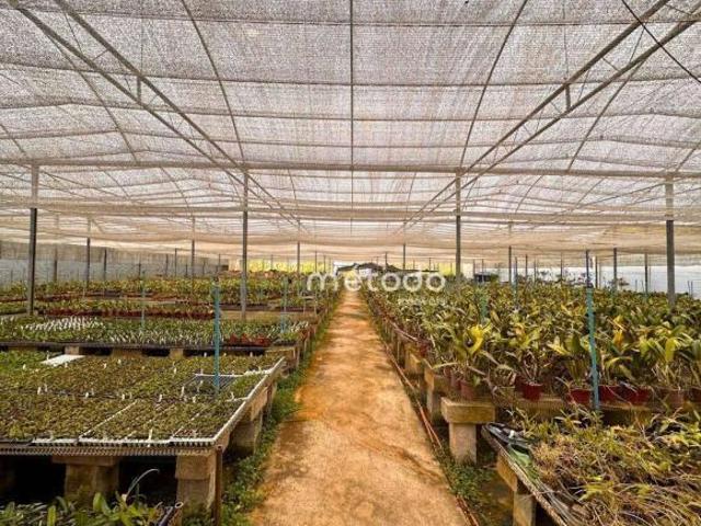 Sítio com 6 quartos à venda, 20000 m² por R$ 4.900.000 Lambari Guararema/SP