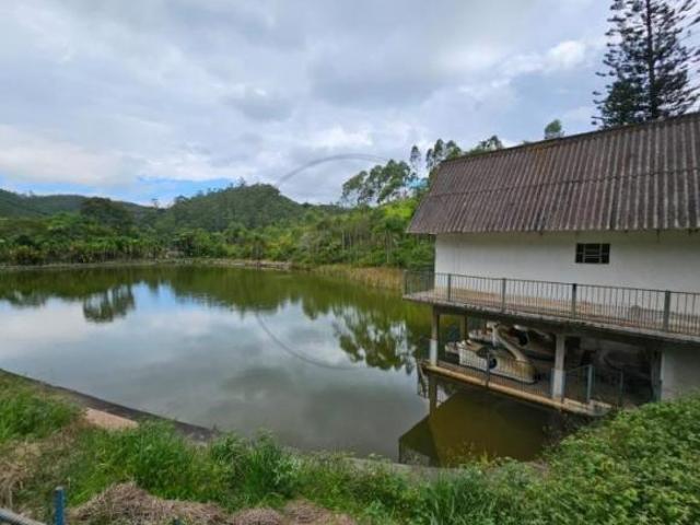 Sítio com 6 suítes e chalés à venda na cidade de Piracaia