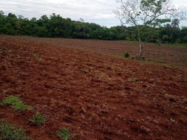 Sítio com 70.000 m² em Engenheiro Coelho SP