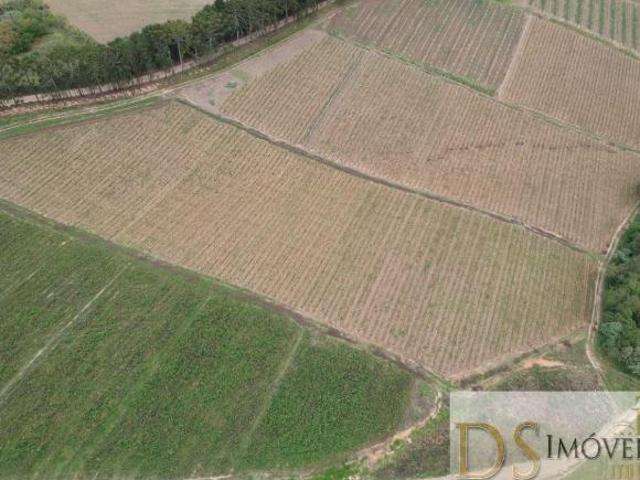 SÍTIO COM 9,77 ALQUEIRES À VENDA EM SÃO MIGUEL ARCANJO/SP: APROVEITE ESSA OPORTUNIDADE!