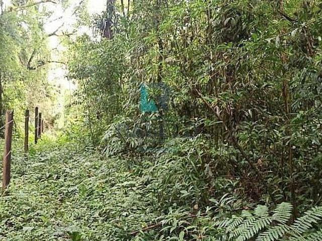SÍTIO COM CACHOEIRA E SEM BENFEITORIAS EM CUNHA SP