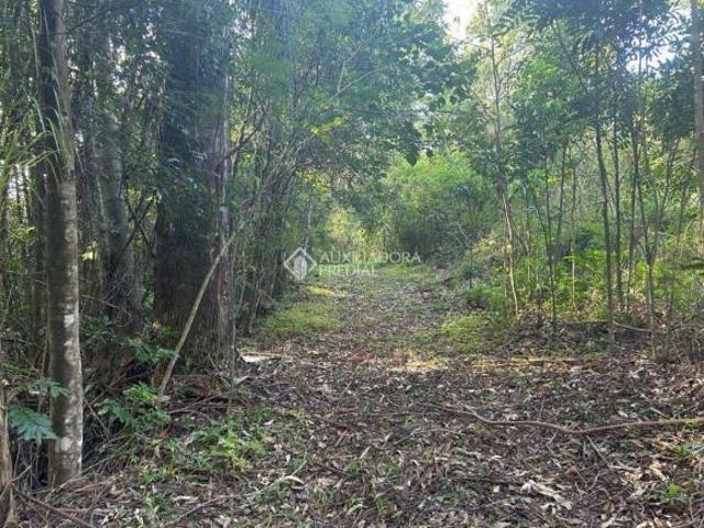 Sítio com cachoeira em Sapiranga, àrea com 17.500,50 e casa com 85m3, 2 açudes e muita natureza