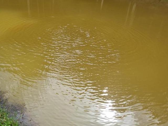 SITIO COM CACHOEIRA, REPRESA, RIACHO, SÃO LOURENÇO DA SERRA