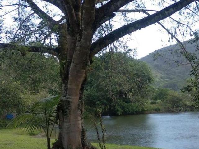 Sitio com cachoeira, 4 lagos, piscina e nascente