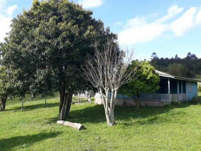 Sitio com Casa 3 Hectares em Santo António da Patrulha Localizado na Catanduva