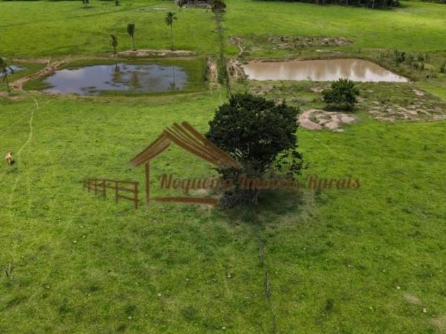 Sitio com área de 8,5 alqueires em Porangaba/SP