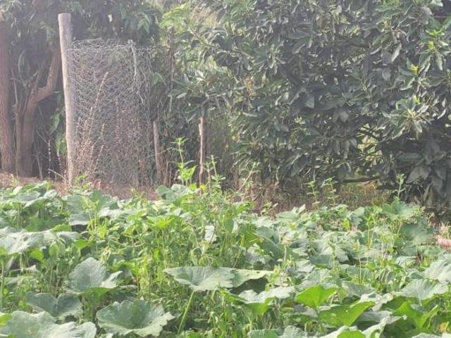 Sitio com área de 10 hectares em Rio Manso