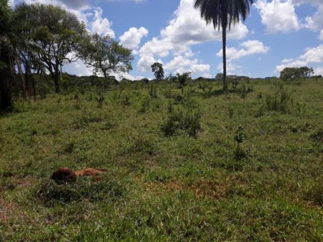SÍTIO COM BOA LOCALIZAÇÃO, REGIÃO DE MALHADOURO PATROCÍNIO MG