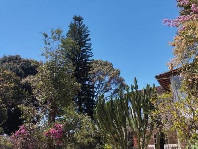 SITIO COM BENFEITORIAS