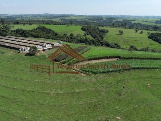 Sítio com galpões de granja, 85 mil aves, área com 20,8 alqueires