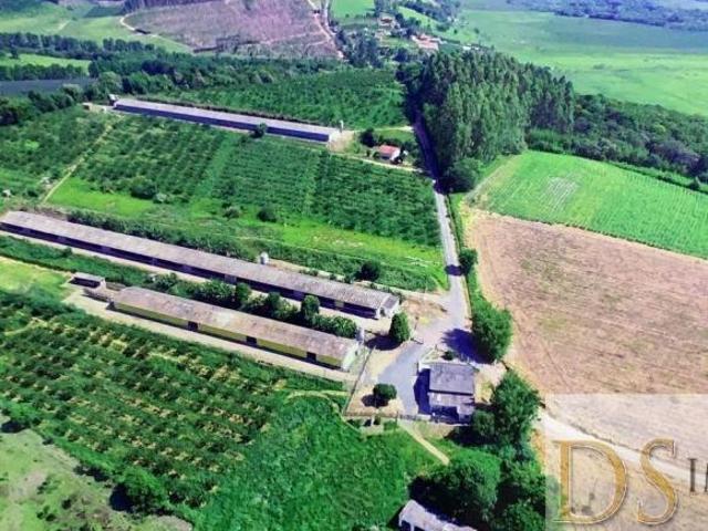 SÍTIO COM GRANJA A VENDA NA REGIÃO DE SOROCABA/SP: 15,80 ALQUEIRES DE ÁREA COM AVIÁRIOS E ÓTIMA LOGÍ