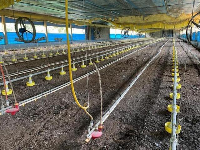 Sitio com Granja capacidade: 60.0000 aves, com 16 alqueires 387.200 m2, em Bragança Paulista
