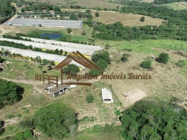 Sitio com granjas, 200 mil aves