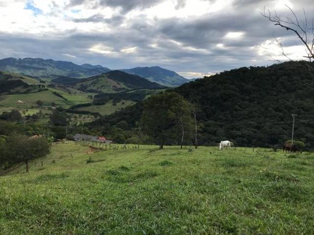 Sítio com duas casas antigas, riacho com cascata, acesso fácil para SP