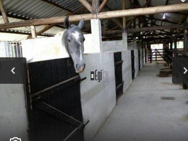 Sítio com estrutura de Haras com baías com 6 hectares em Barbacena a venda!