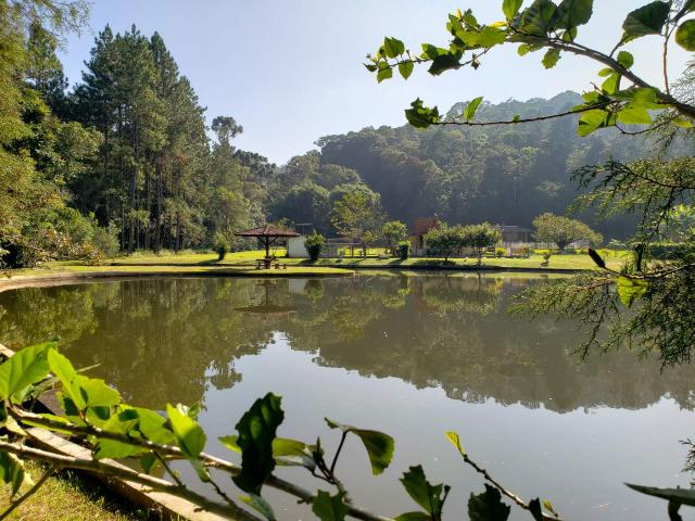SITIO COM FÁCIL ACESSO / 600 METROS DA RODOVIA