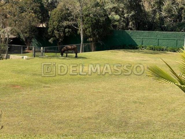 Sitio com ótima localização a 100 metros da rodovia!